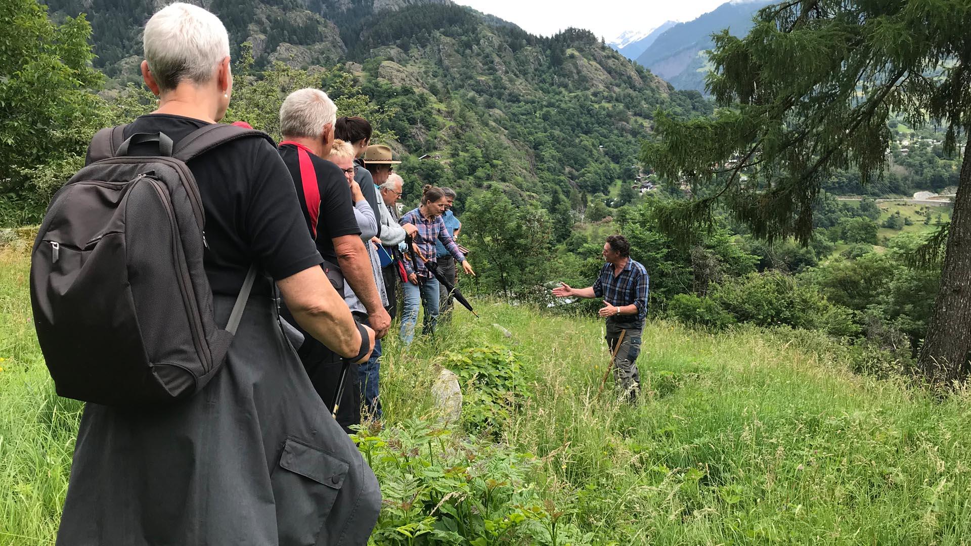 Traditionelle Bewässerung - Ortsschau des internationalen Beirats am ...