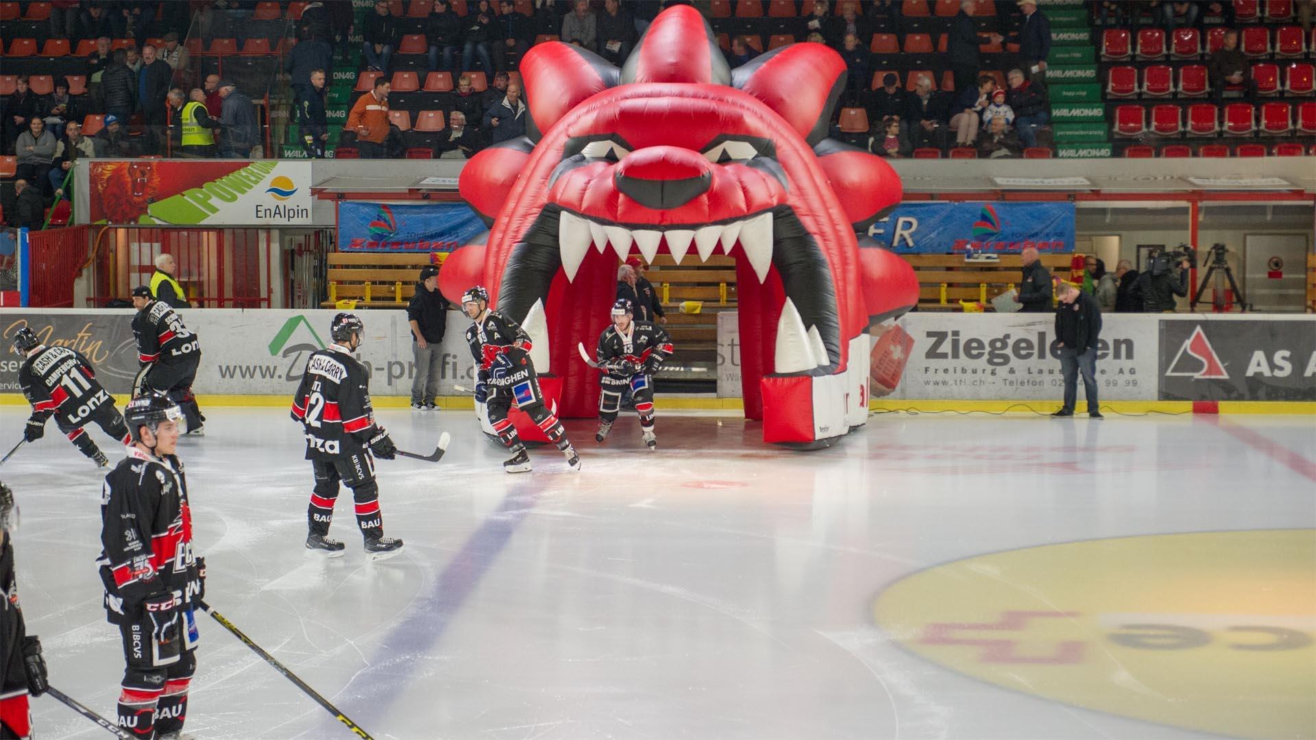 Für die kommende Saison konnte der EHC Visp die Topskorer Mark Van ...