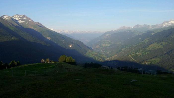 Oberhalb von Ernen ist rro am Dienstag zu Besuch auf der Alpe Frid ...