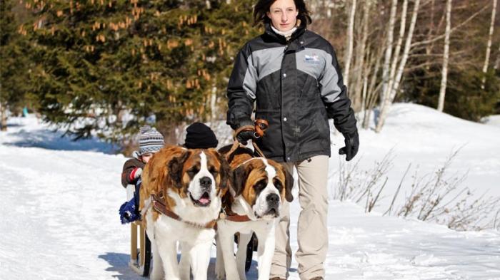 Im kommenden Winter bietet die Fondation Barry Wanderungen mit ...