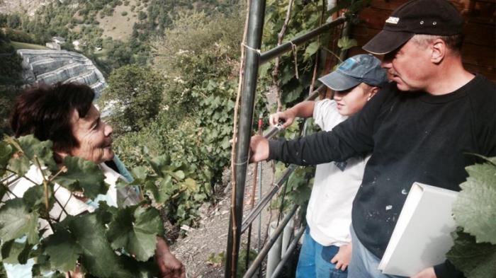 Erna Burgener und André-Marcel Sauthier bei der Rebkontrolle mit ...