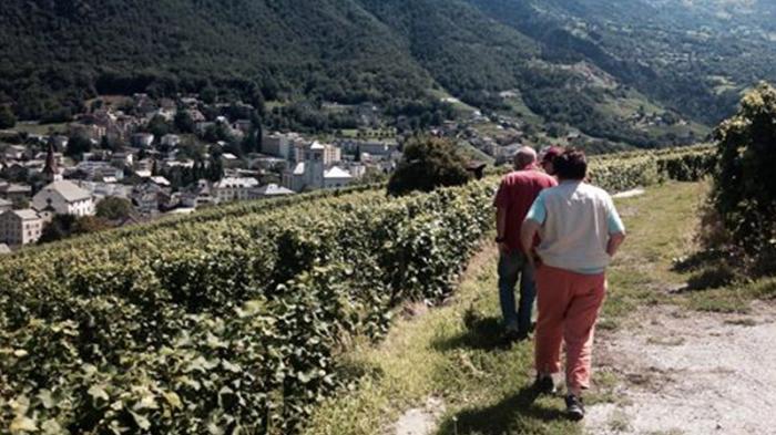 Und es geht weiter mit den Rebkontrollen oberhalb von Visp. Quelle: rro