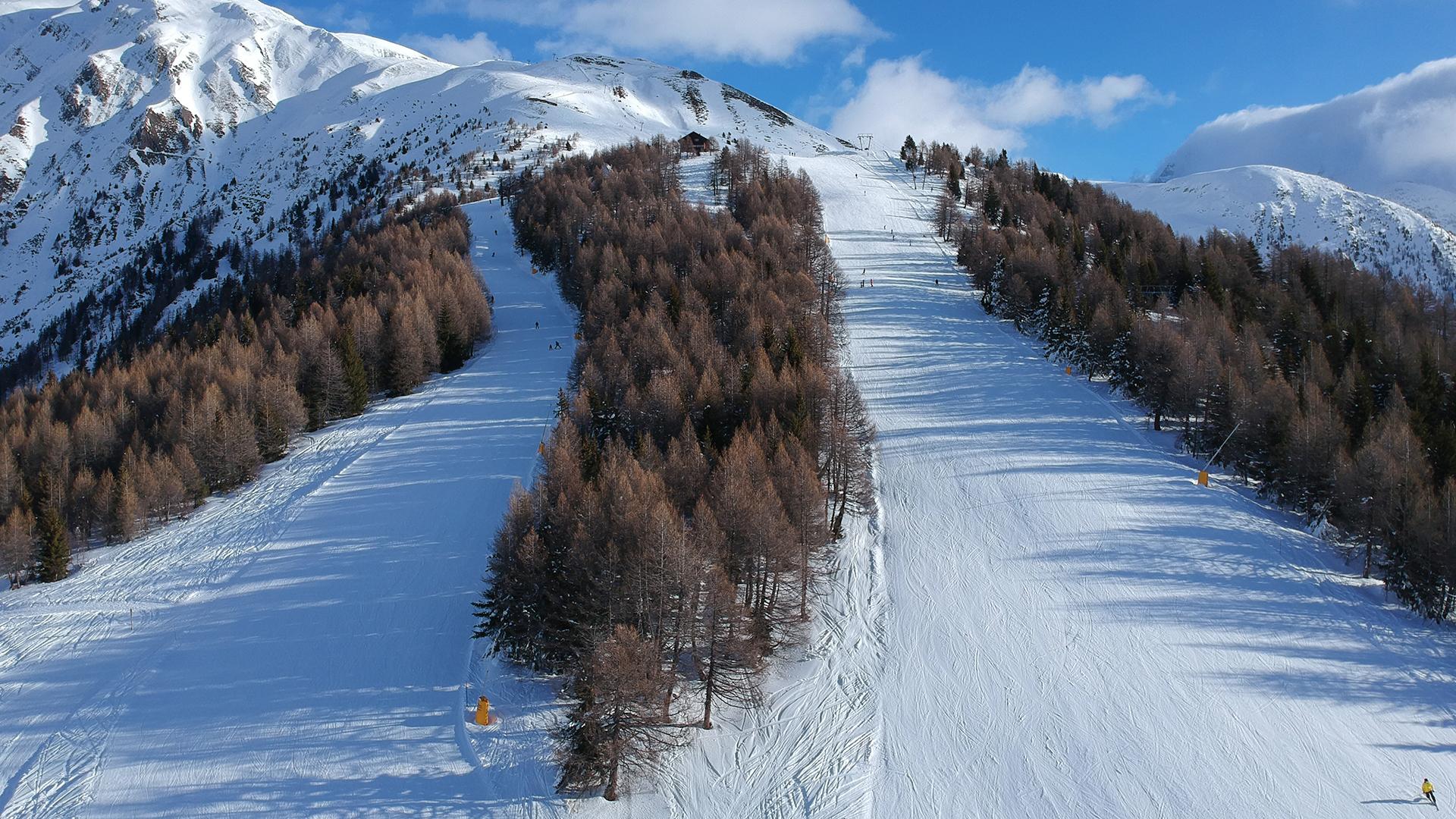 Die Pisten auf dem Rosswald bieten von schwierig bis leicht so ziemlich ...